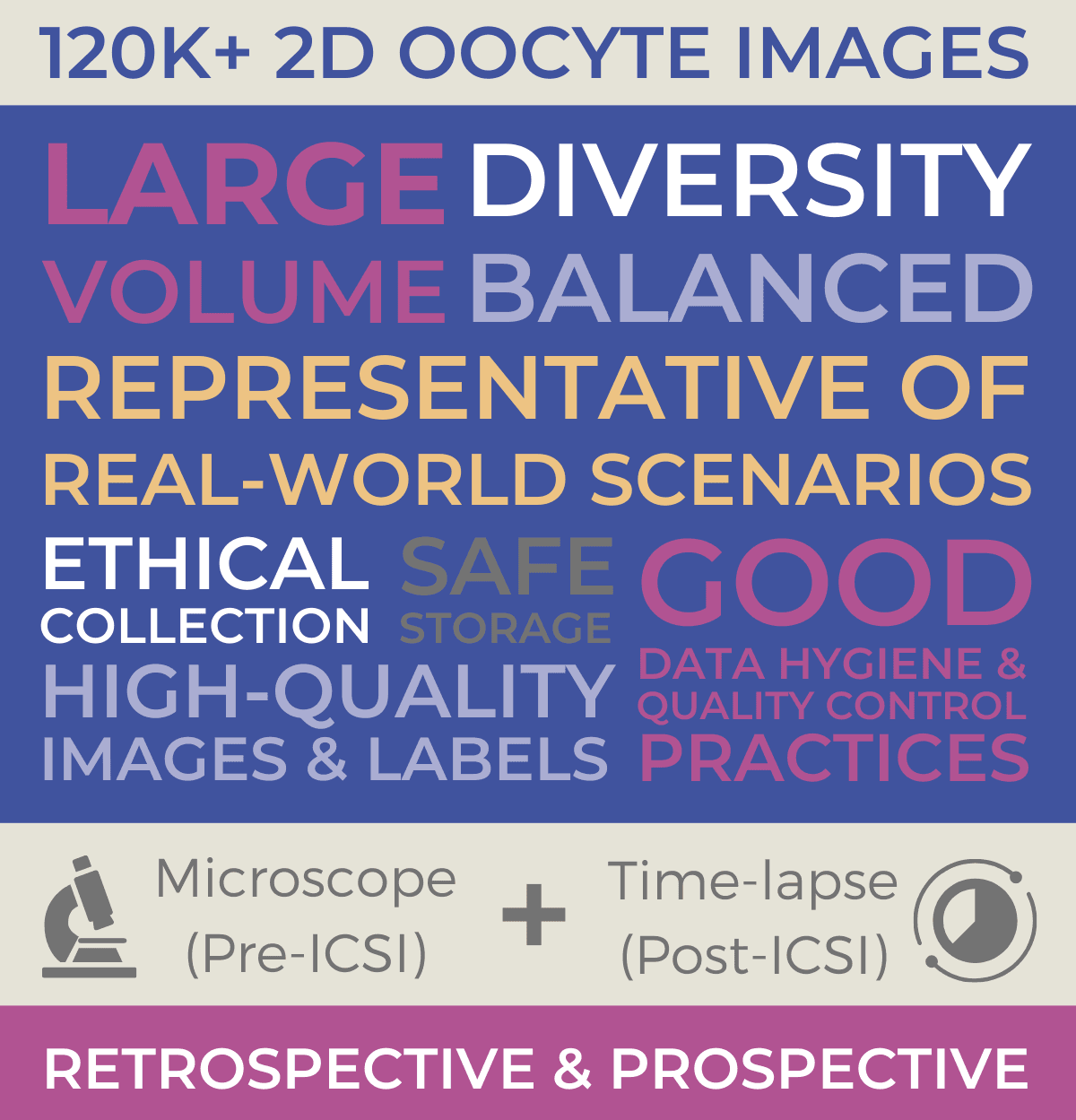 INFOGRAPHIC: What does a robust dataset look like for AI-powered oocyte ...