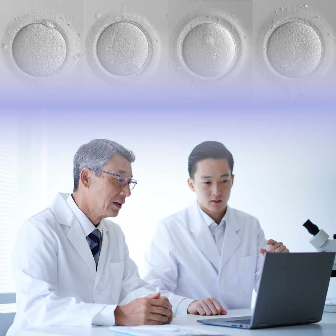 Closing the Lab-Clinic Feedback Loop with AI-Powered Oocyte Insights ...